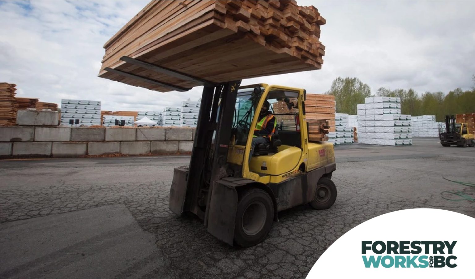 News & Insights – Forestry Works For BC