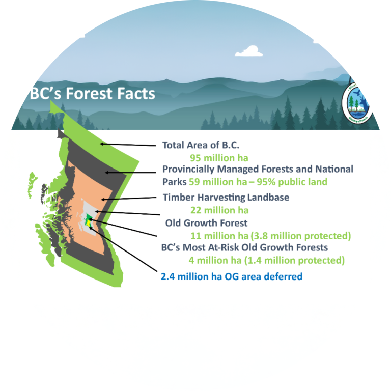 British Columbia’s Forests: Fact and Opinion – How much should be saved ...