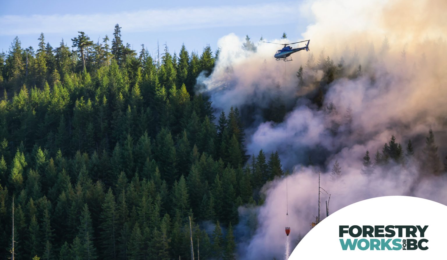 Forestry Works For BC – A better and brighter future in this province ...