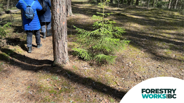 Forestry Works For BC – A better and brighter future in this province ...