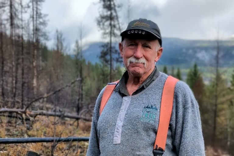 Forestry Works For BC – A better and brighter future in this province ...