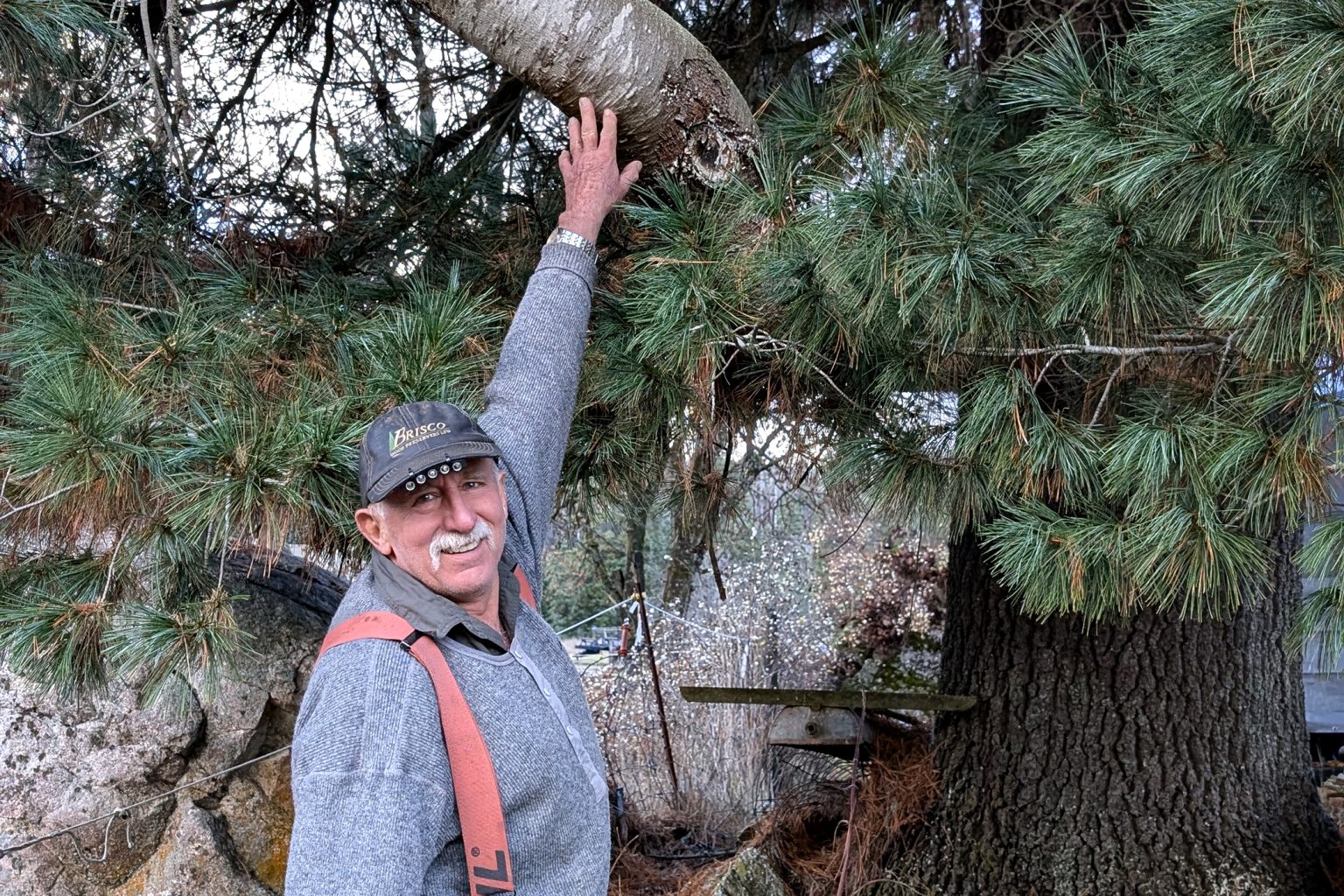 About – Forestry Works For BC