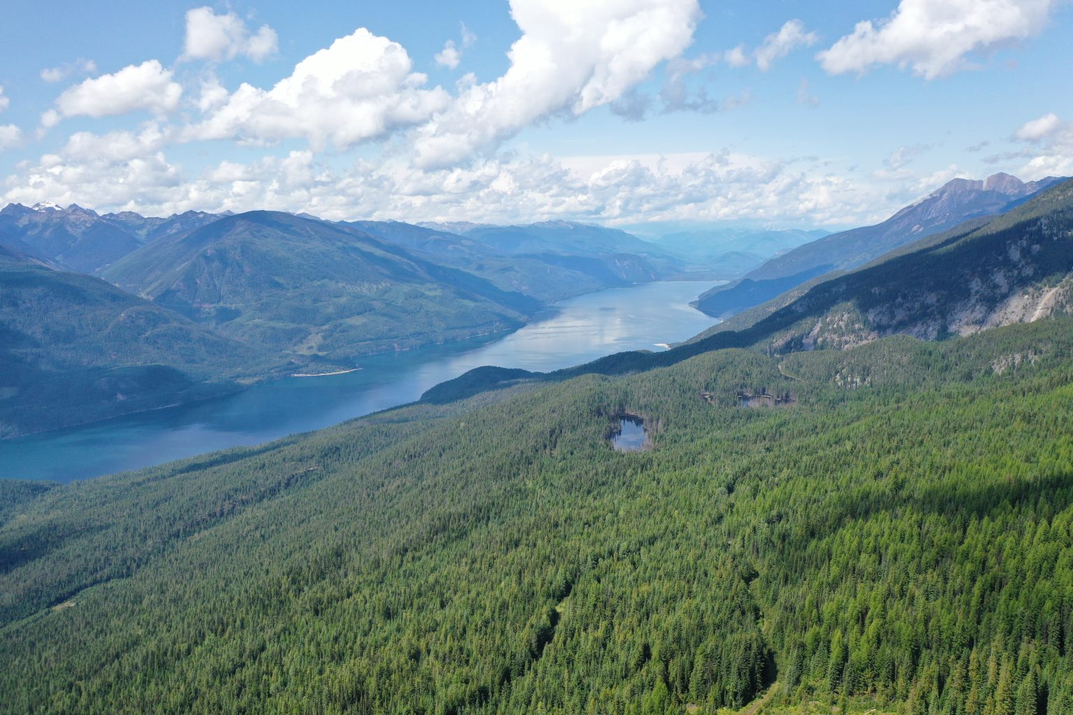 Forestry Works For BC – A better and brighter future in this province ...